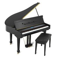 Musical Instrument - Musical Instrument Manufacturers & Suppliers
