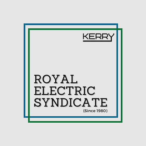 White Powder Coated Automatic Changeover Switch 32 Ampere at Best Price ...