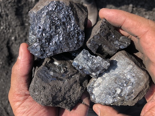 Raw Coal - Raw Coal Manufacturers, Suppliers & Dealers