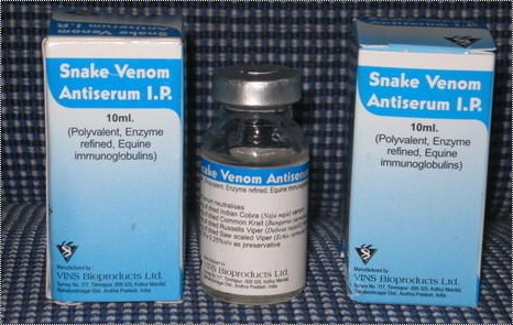 Anti Snake Venom Manufacturers, Antisnake Venom Suppliers & Exporters