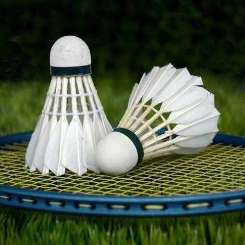 Shuttle Cock In Meerut, Shuttle Cock Dealers & Traders In Meerut, Uttar ...