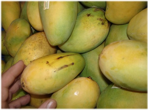 Mango In Dharwad, Mango Dealers & Traders In Dharwad, Karnataka