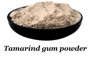Tamarind Gum Powder In Surat, Gujarat - Dealers & Traders