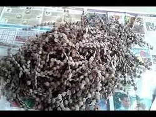 Featured Products, Recent Featured Products by India & Global Companies