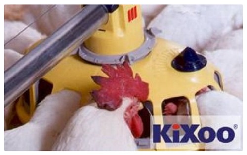 Plastic Poultry Chicken Haikoo Feeding System at Best Price in Pune ...