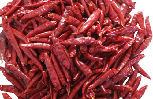 Small Size S 12 Dry Red Chilli at Best Price in Visakhapatnam | Ifuture ...