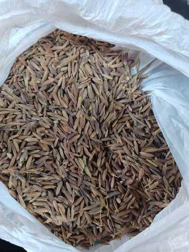 Black Paddy Rice General Medicines at Best Price in Gairatganj ...