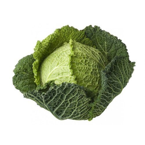Dry Green Cabbage Vegetable Isolated at Best Price in Hyderabad | Satya ...