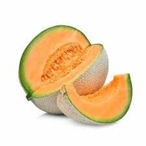 Natural Organic Smooth Exterior Skin Fresh Muskmelon (afridi Xen} at ...