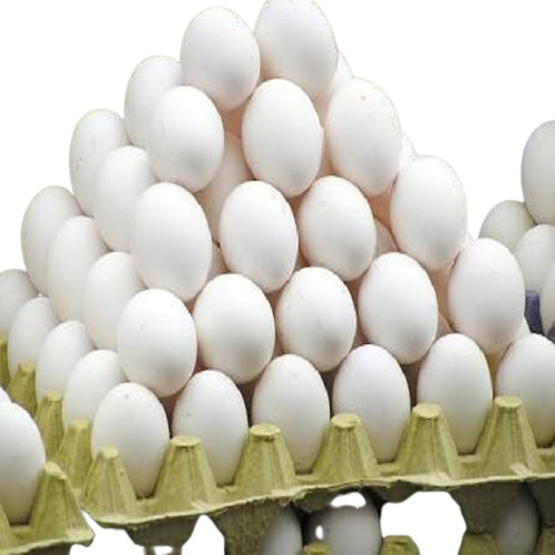 Poultry Farm Rich In Protein And Nutritious Antibiotic Free Delicious ...