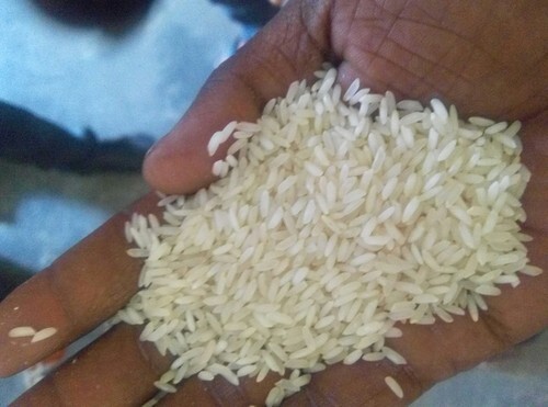 White Sona Mansoori Steam Rice at Best Price in Rae Bareilly | Saba ...