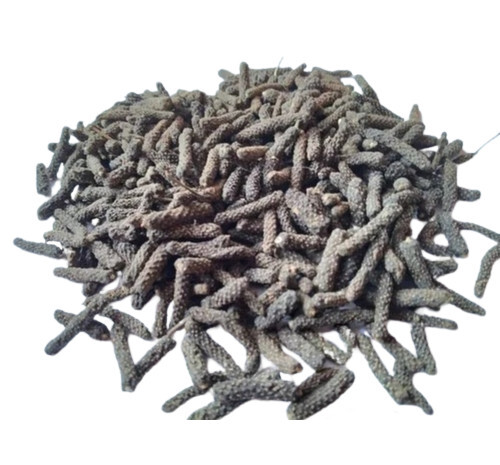 Organic Bal Harad Fruit Seeds Application: Agriculture at Best Price in ...