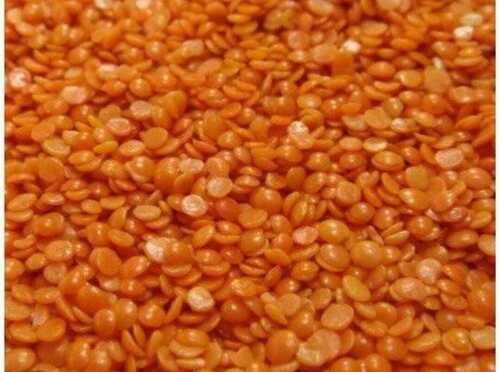 Masoor Dal. at Best Price in Budaun, Uttar Pradesh | Nectar Fresh Foods
