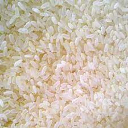 Indian Origin Medium Grain Dried White Ponni Rice Admixture (%): 5% at ...