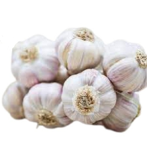 Raw Farm Fresh Round Shape Garlic Shelf Life: 1 Week at Best Price in ...