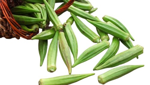 Long Farm Fresh Raw Green Lady Finger at Best Price in Chennai | Kgp Store