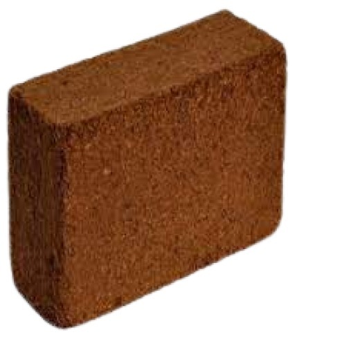 Eco Friendly Eco-Friendly Rectangular Shape Dark Brown 22 X 15 X 10 Cm ...