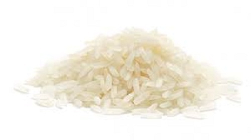 Short Grain White Rice at Best Price in Bikaner | Vinayak Industry