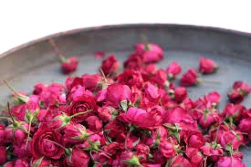 Red Fresh Paneer Rose Flower at Best Price in Tirunelveli | Naveen Bhargav Company