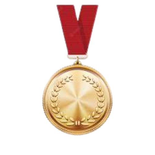 Die Casting Metal Round Shape Brown Sports Medals at Best Price in ...