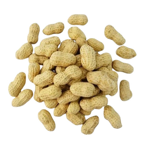 A Grade And Indian Origin Shelled Peanuts at Best Price in Junagadh ...