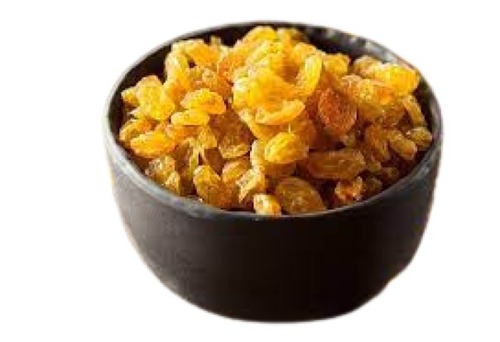 Brown Oval Shape Dried A Grade Black Grapes at Best Price in Vellore ...