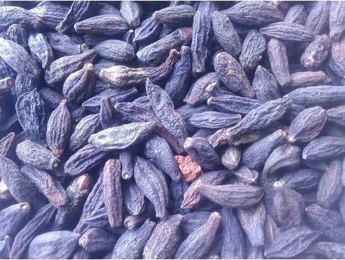 Dried Black Himaj Ayurvedic Herbs at Best Price in Godhra | Muthaiwala ...