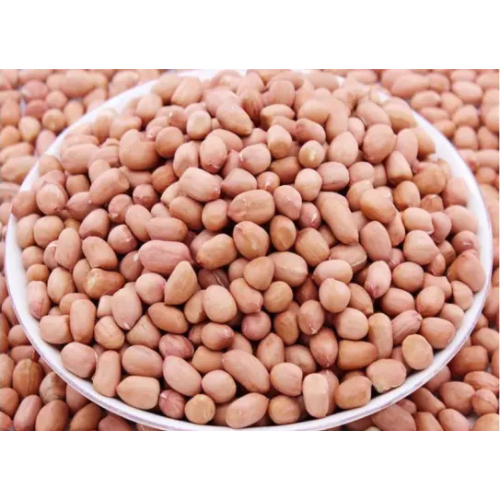 Jumbo Raw Indian Peanuts Kernel at Best Price in Delhi | Piyali Agro Food
