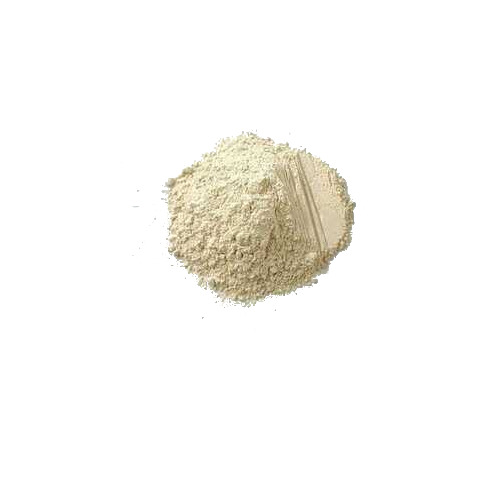 Dehydrated White Onion Powder at Best Price in Mahuva | Sitaram Foods