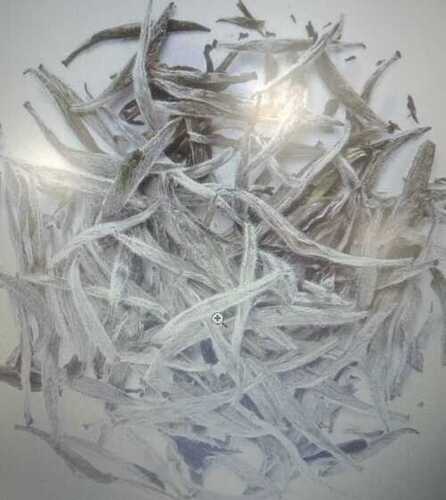 White Tea Processing Type: Blended at Best Price in Indore | Dhakad ...