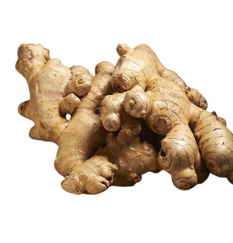 Fresh Ginger Moisture (%): 83%A 94% at Best Price in Nagpur | Tradewise ...