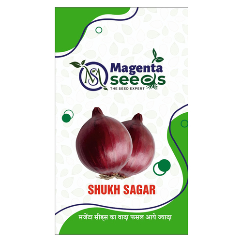 Onion Seeds Purity: 98 at Best Price in North 24 Parganas | Magenta ...