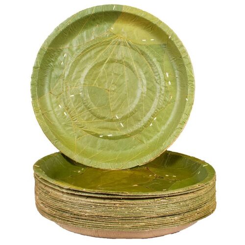 Siali Leaf Plates Application: For Party Use at Best Price in Delhi ...