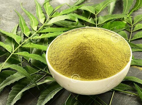 Green Color Dried Neem Leaf Powder at Best Price in Jaipur | Sunphyll ...