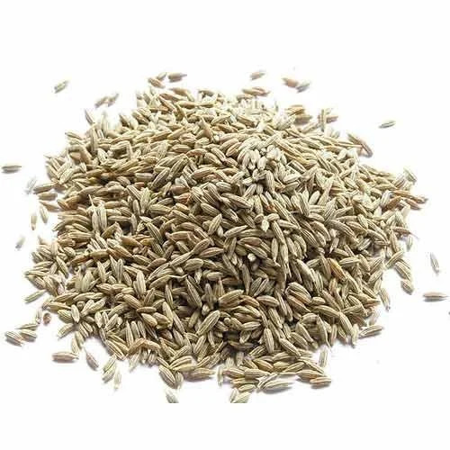 Cumin Seeds at Best Price in Jorhat Assam | New Company-aakash