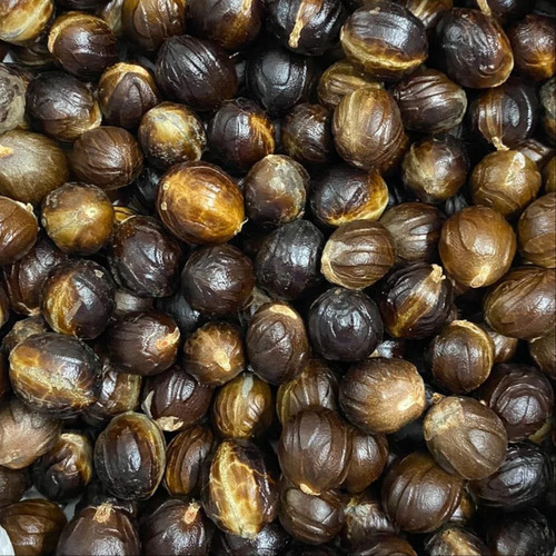 Organic Nutmeg at Best Price in Lucknow, Uttar Pradesh | Nadha Spices