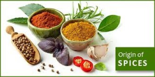 Spices All In India And Export at Best Price in Surat | New Company ...