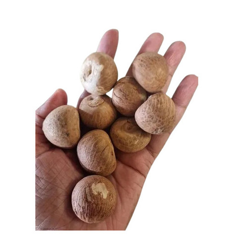Hard Betel Nuts at Best Price in Imphal, Manipur | Emira Enterprises