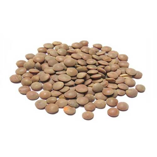 Whole Masoor Dal - Premium Quality Brown Lentils, Gluten-free, High In ...