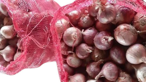 Natural Fresh Indian Onion at Best Price in Satara | Saisiddha ...