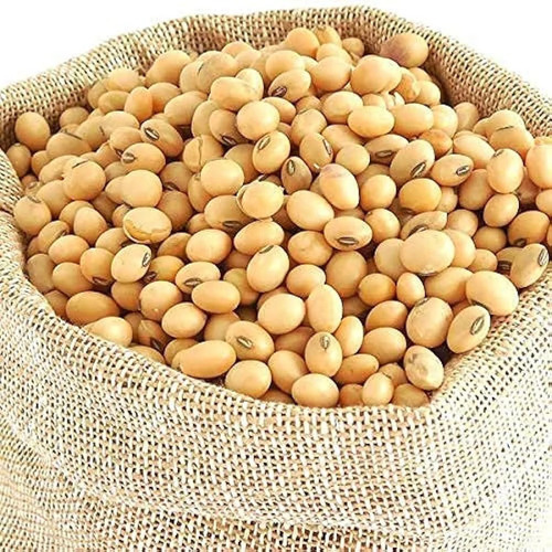 Soya Beans - Organic Light Brown Loose Dried, 100% Pure Round Shape In Bulk at Best Price in ...