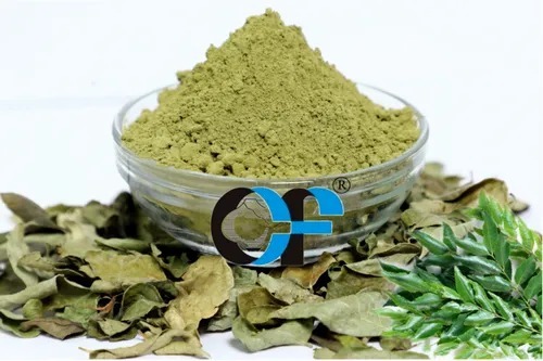 Curry Leaf Powder at Best Price in Mahuva, Gujarat | Chhatariya Foods ...