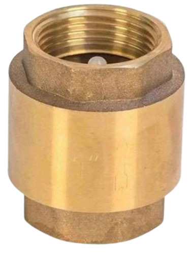 Vertical Check Valve at Best Price in Mumbai, Maharashtra | Patel ...