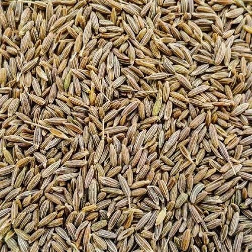 Jeera Cumin Seeds - 5 Kg Plastic Packet, Brown Color, 95% Purity, 6 ...