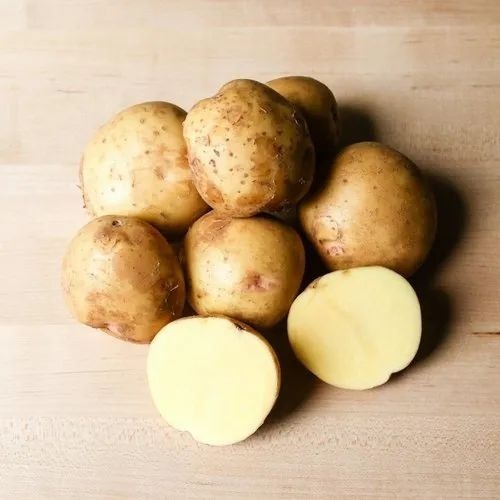 Organic Fresh Potato at Best Price in Puri, Odisha | Viswanatah Enterprise