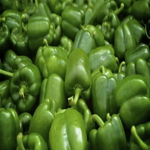 Fresh Capsicum - A Grade Cooking Vegetables, Chopped Fresh With 10 Days ...