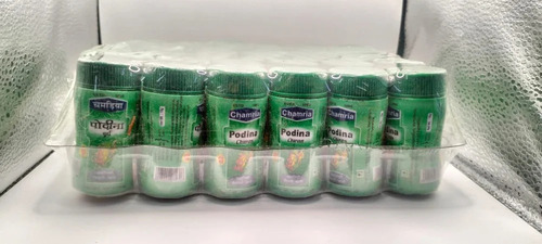 Ayurvedic Chamria Podina Churan, 360 Gm at Best Price in Delhi | Vaidya ...