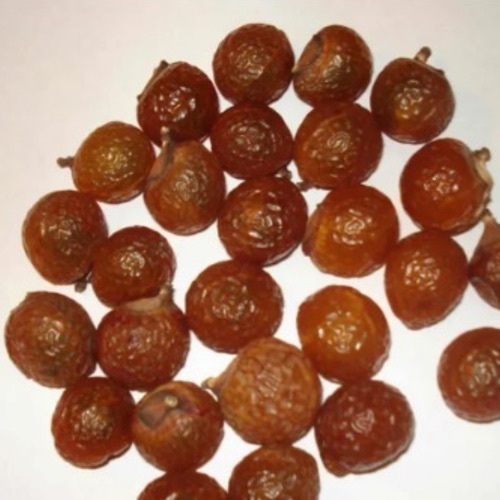 Dried Aritha at Best Price in Udaipur, Rajasthan | P. K. Traders