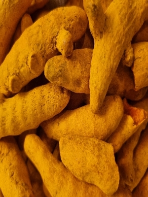 Turmeric Fingers - Color: Deep Yellow-orange Color at Best Price in ...