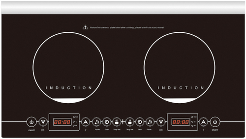 Induction Cooker With Two Black Crystal Plate at Best Price in ...